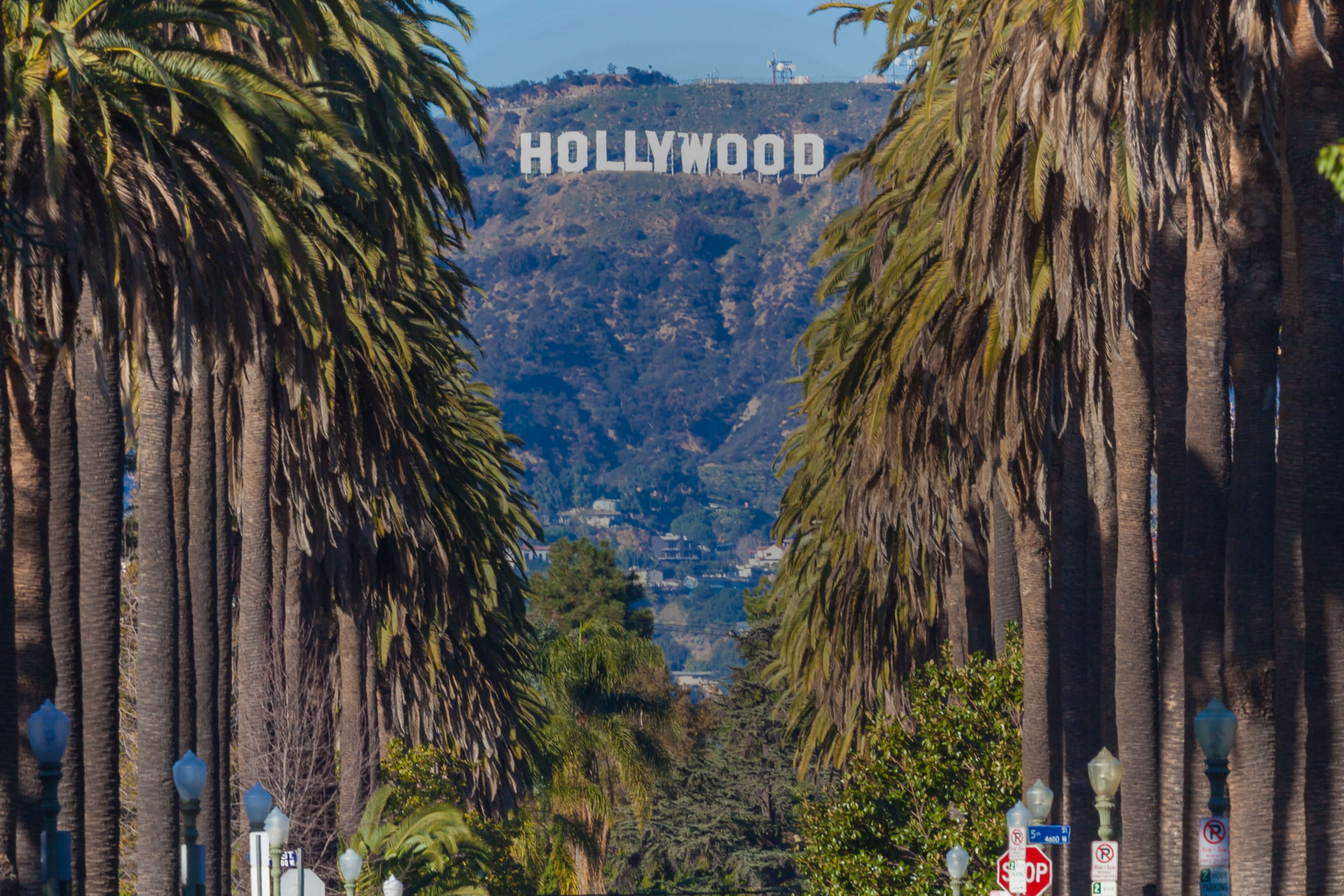 RISE-cali-BG - Black Exclusive